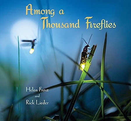 SUBSCRIBER EXCLUSIVE: Books about family, food, fireflies will keep ...